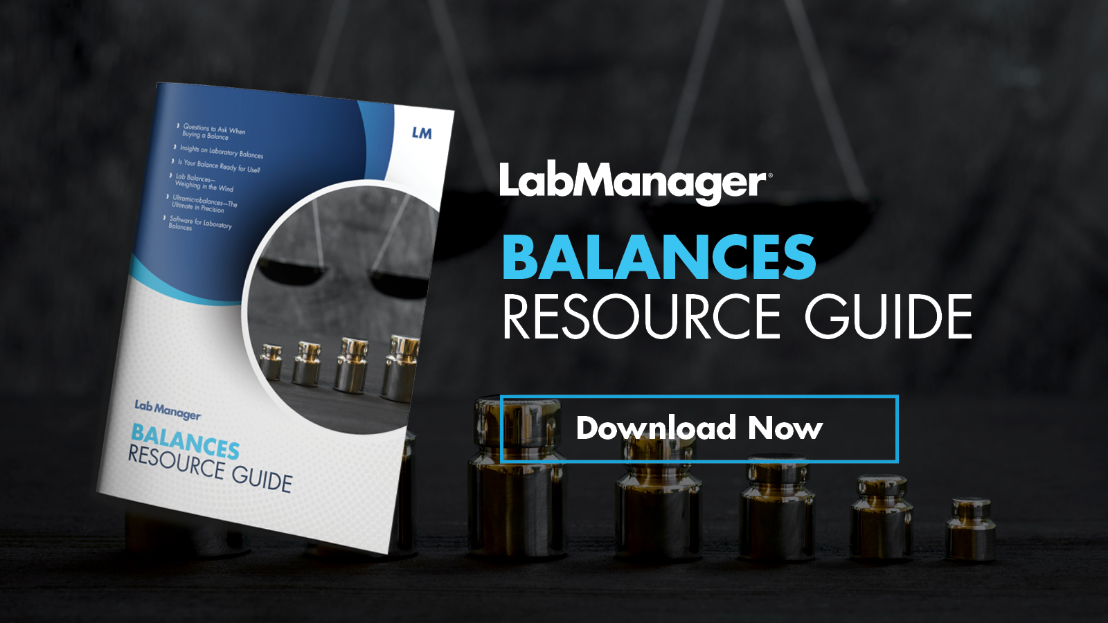 Balances Resource Guide